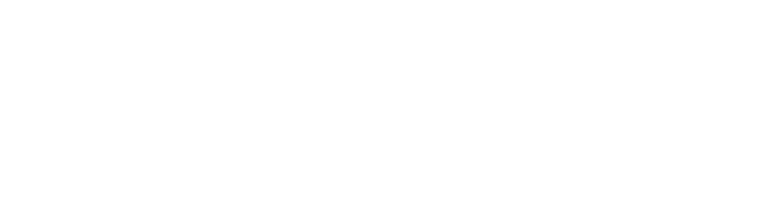 About Us - SecureVideo